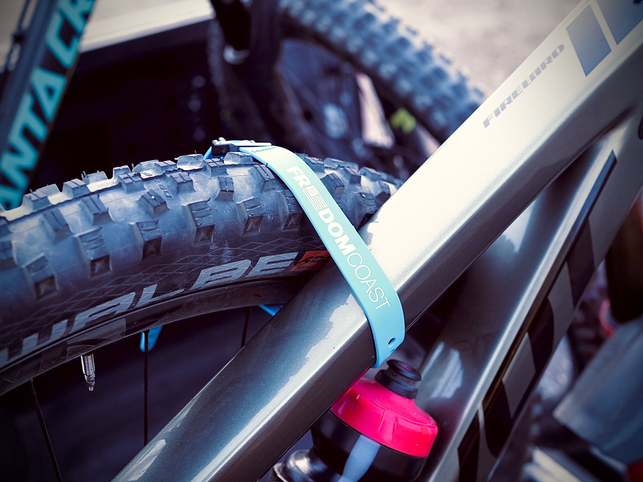 Tie Down Straps | Freedomcoast